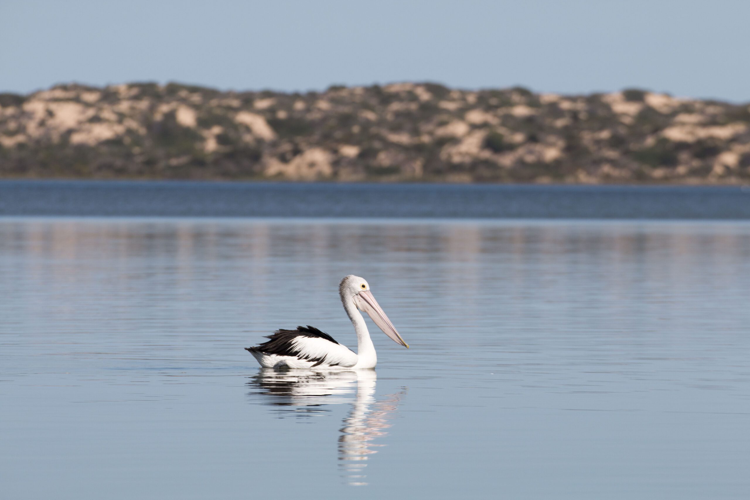 Plan Your Trip n - Coorong Island Retreat